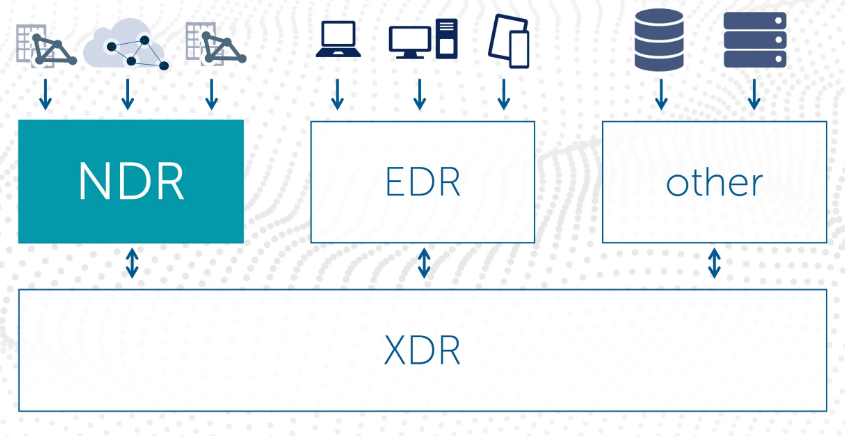 Extended Detection and Response (XDR)